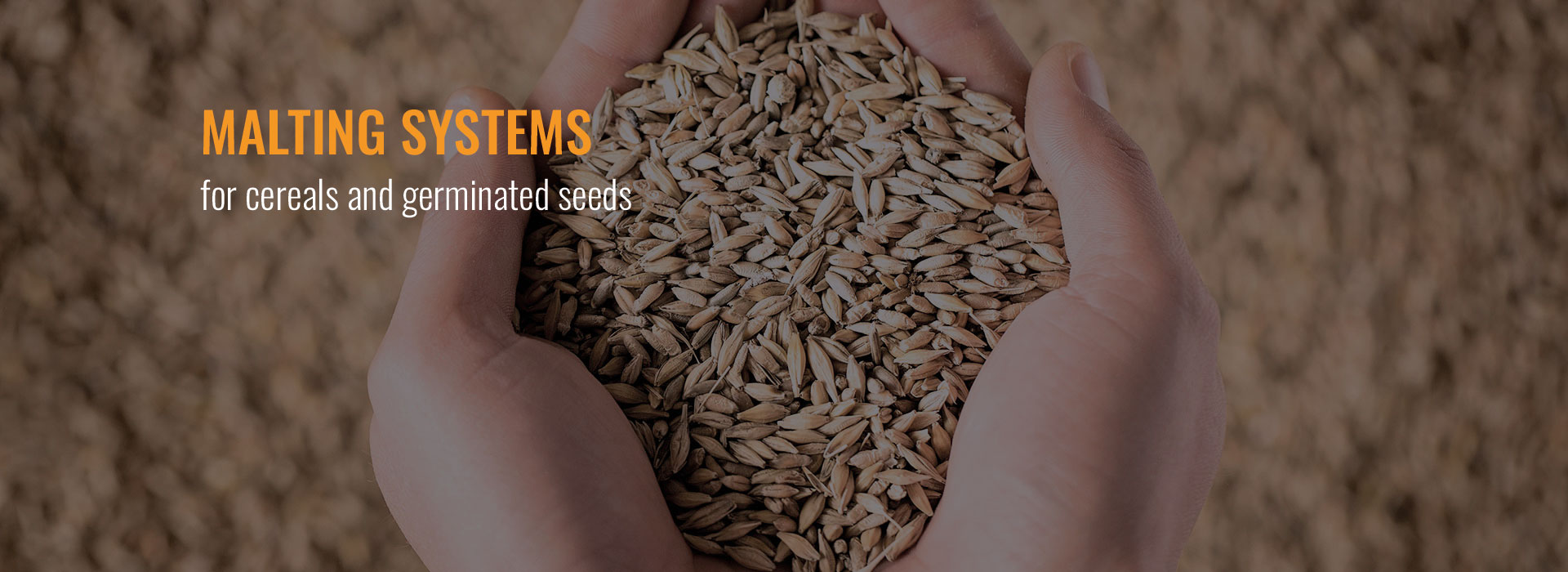 Zanin Food: Malting systems for cereals and germinated seeds