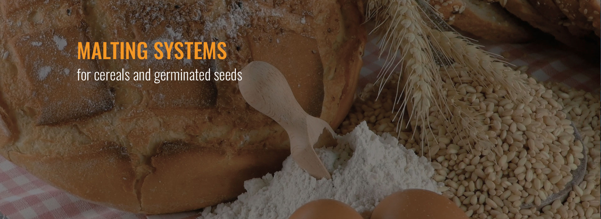 Zanin Food: Malting systems for cereals and germinated seeds