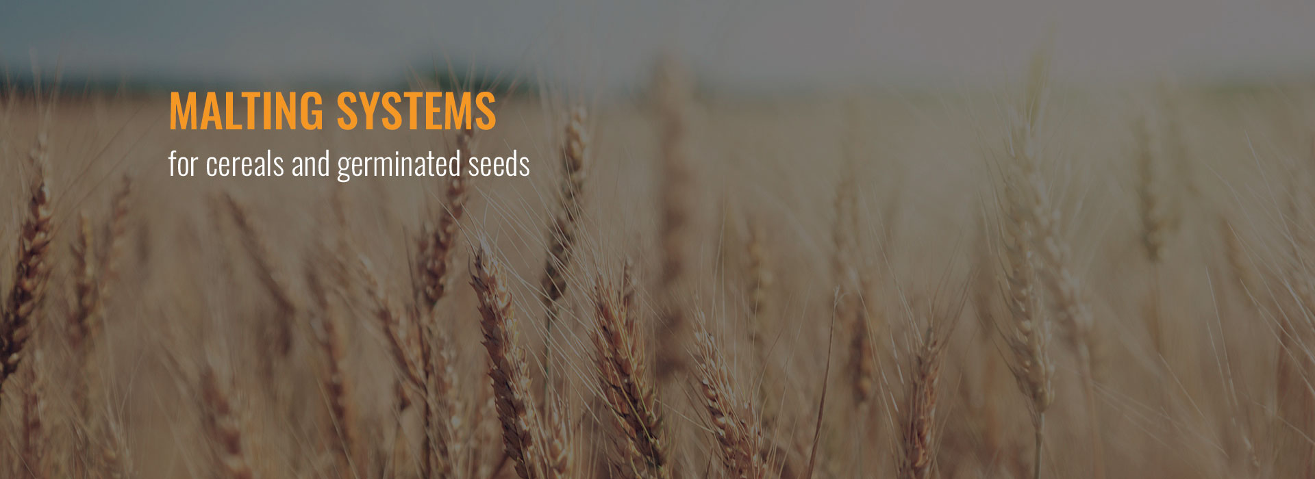 Zanin Food: Malting systems for cereals and germinated seeds
