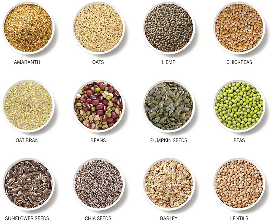 Zanin Food : Roasting plants and systems